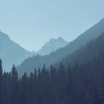 Trustees – Basic Church Administration